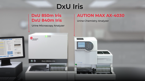 Multimedia Portfolio